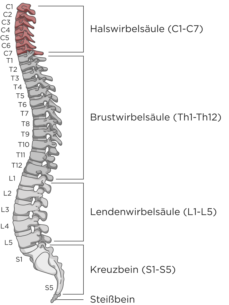 ThermaCare: Bandscheibenvorfall HWS erkennen und behandeln