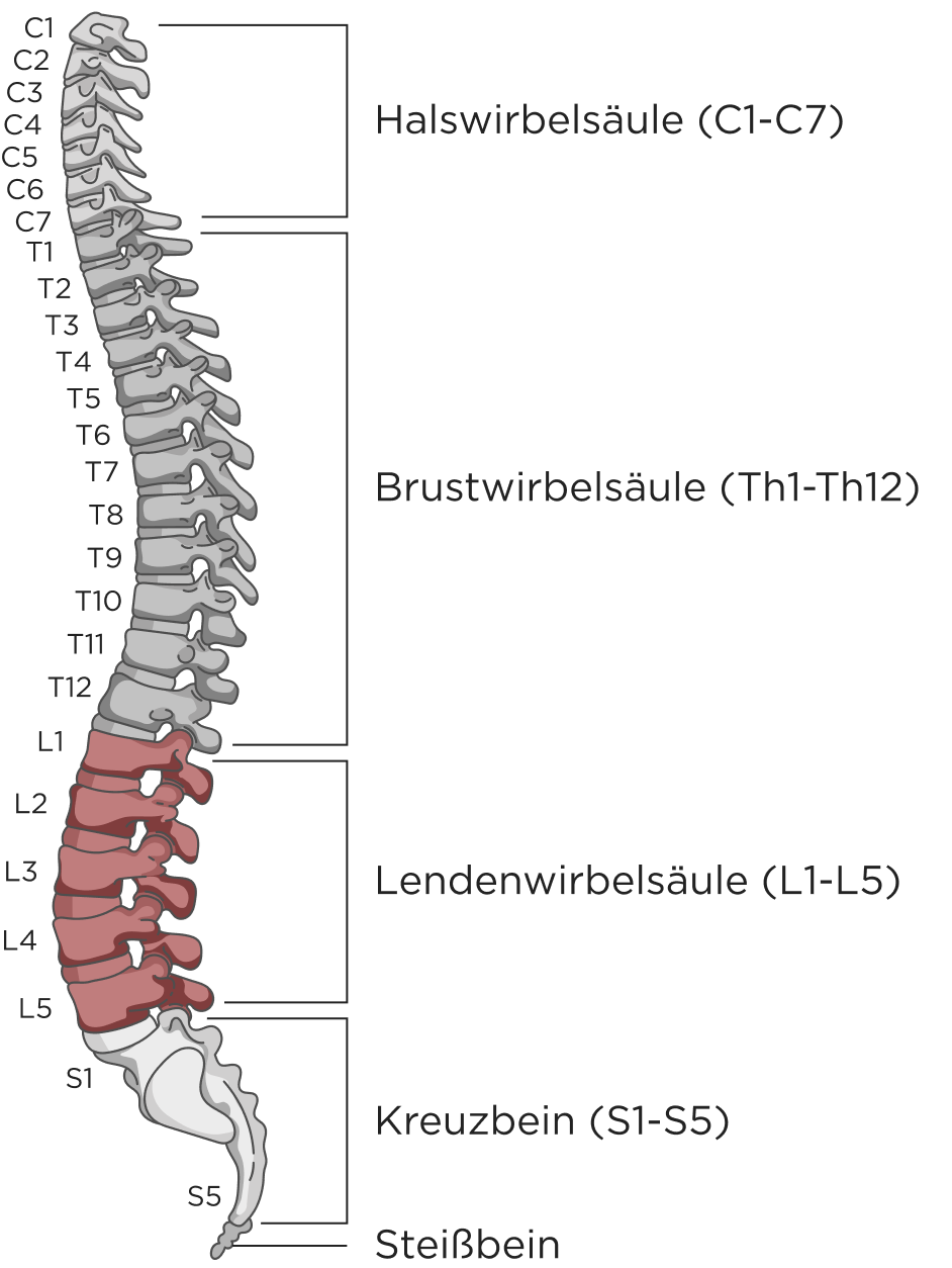 LWS-Syndrom: Symptome und Behandlung | ThermaCare